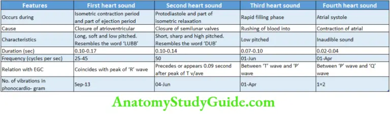 Heart Sounds Physiology Notes - Anatomy Study Guide