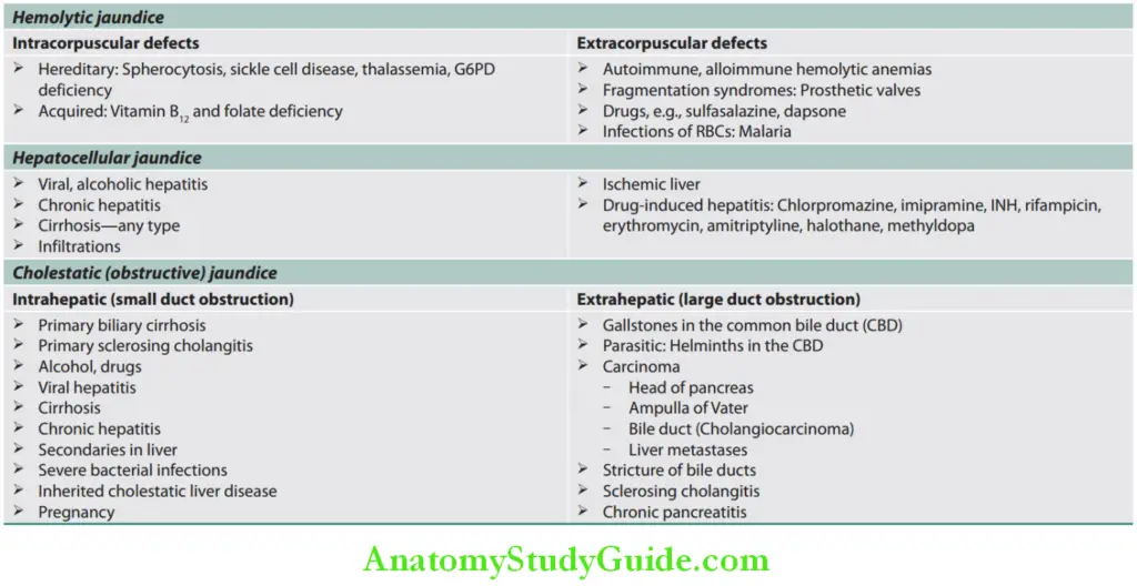 Hepatobiliary System Question And Answers - Anatomy Study Guide