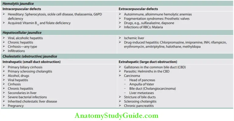 Hepatobiliary System Question And Answers - Anatomy Study Guide