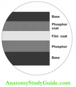 Radiology X-Ray Film And Screens Short Notes - Anatomy Study Guide