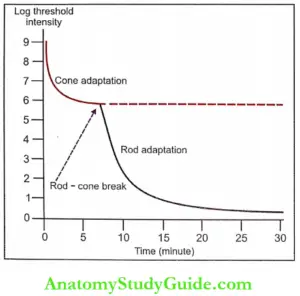 Physiology Neural Basis Visual Process Notes - Anatomy Study Guide