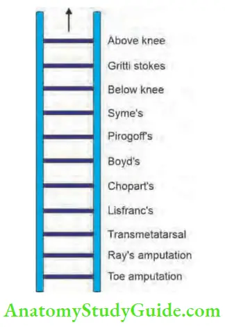 Differential Diagnosis Of Leg Bazin's Ulcer And Pressure Sore Notes ...
