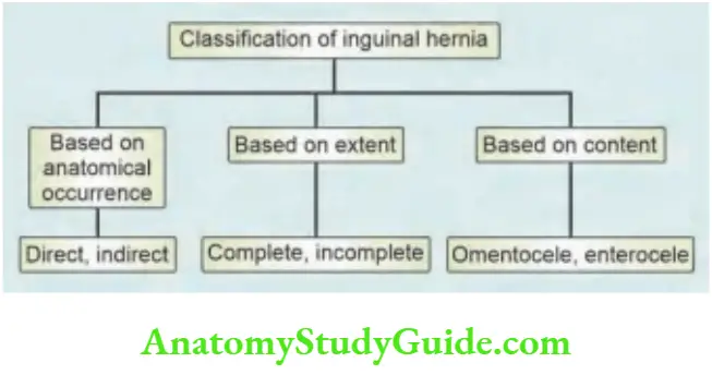 Abdominal Wall Hernias Classification, Diagnosis and Complications ...
