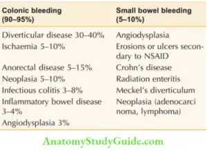 Lower Gastrointestinal Bleeding Causes and Treatment - Anatomy Study Guide
