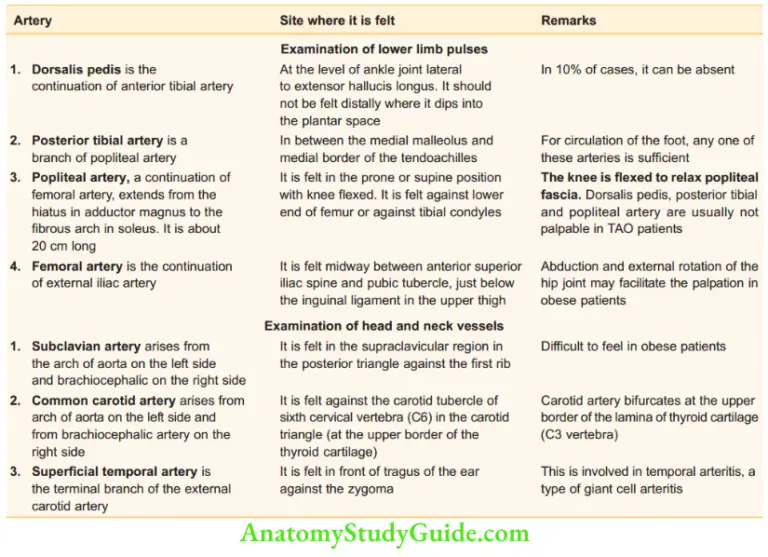 Acute Limb Ischaemia Notes - Anatomy Study Guide