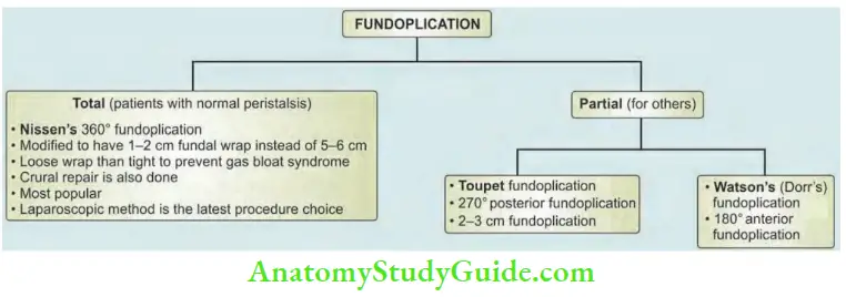 Gastroesophageal Reflux Disease Treatments Notes - Anatomy Study Guide