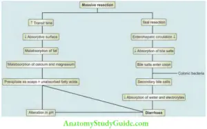 Short Gut Syndrome Causes and Treatment - Anatomy Study Guide