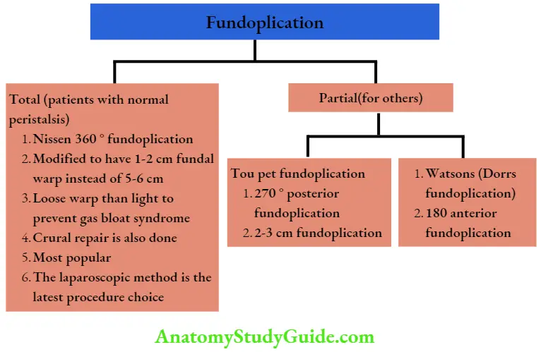 Gastroesophageal Reflux Disease Treatments Notes - Anatomy Study Guide