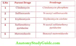 Prodrugs - Definition, Applications, Requirements and Types - Anatomy ...