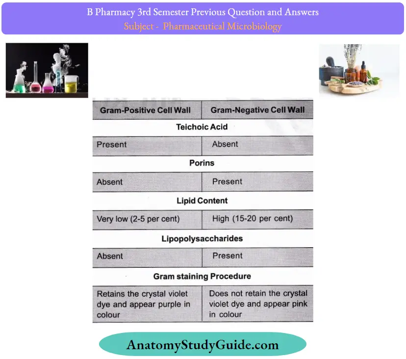 Pharmaceutical Microbiology Long Question And Answers - Anatomy Study Guide